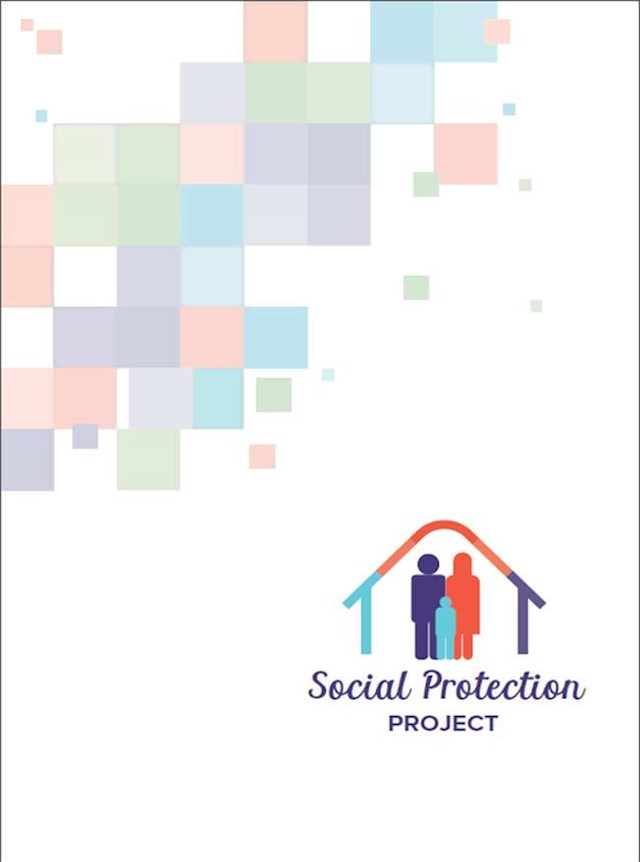 Social Protection PROJECT - WALD